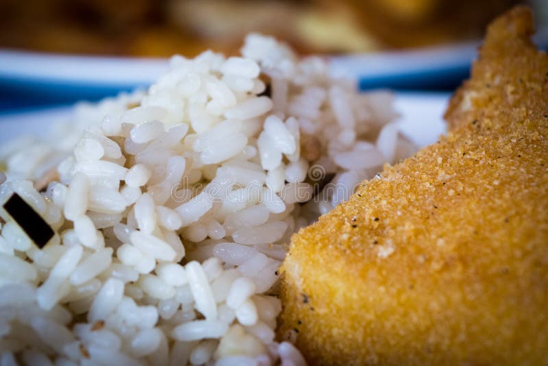 Rice and fried fish stock image. Image of fish, fillet - 68950721