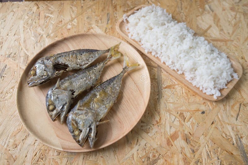Rice with fried mackerel stock image. Image of fish, natural - 82081977