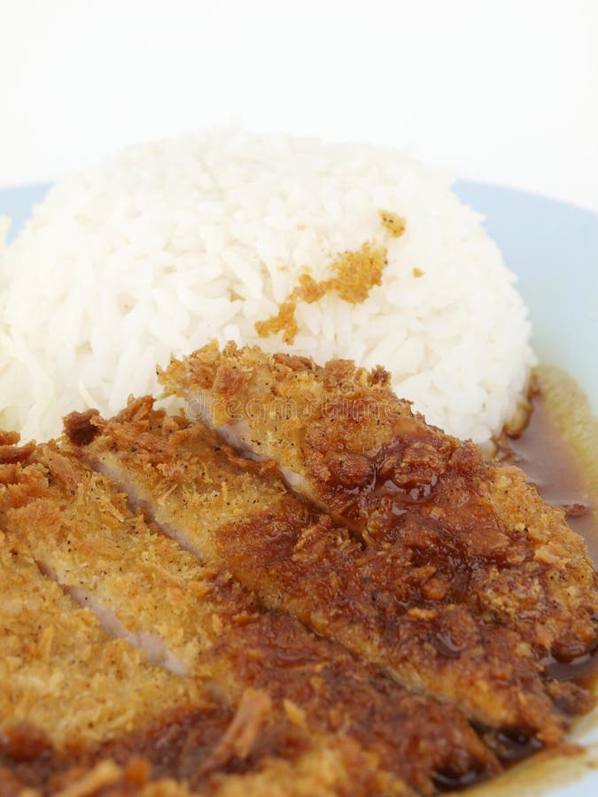 Rice and fried pork stock photo. Image of style, cutlet - 20606544