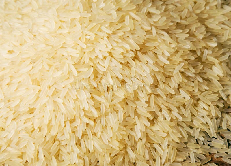 Rice stock photo. Image of nutrition, grain, china, asia - 52784276