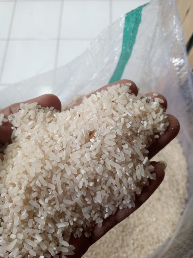 Rice good for eating stock image. Image of produce, cuisine - 268016547