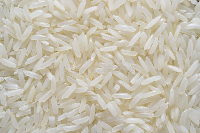 Rice grain stock photo. Image of asia, cultivation, agricultural - 28742714