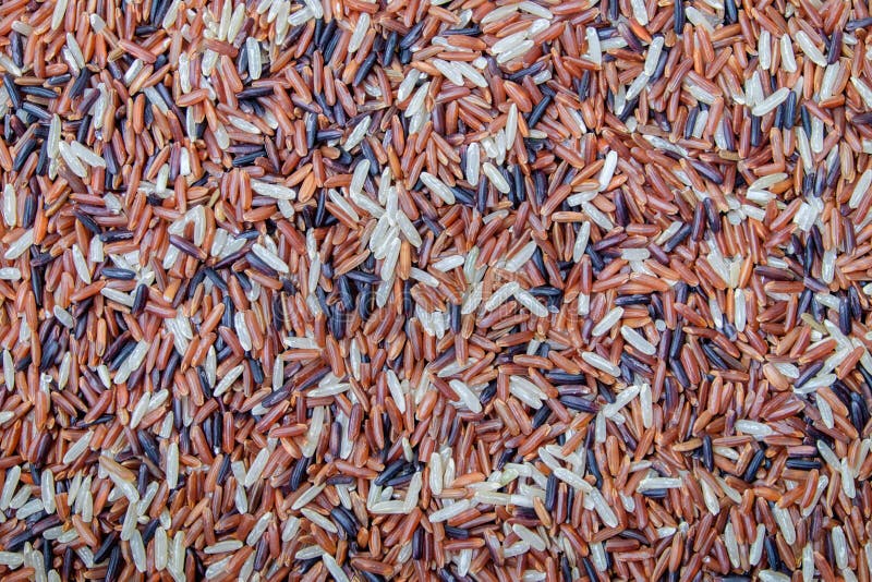 Rice Grain As Background Texture Stock Image - Image of closeup, grain ...