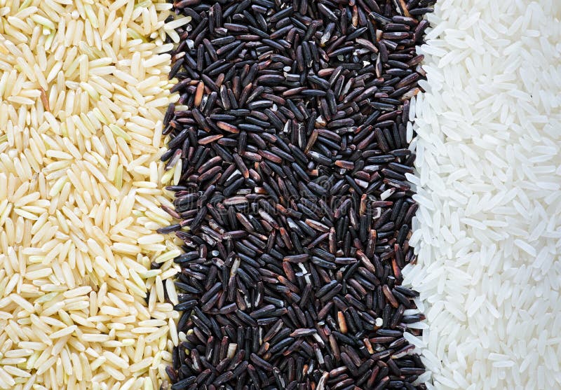 Rice grain background stock image. Image of traditional - 30489753