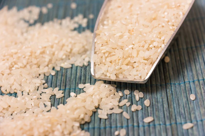 Rice Grain stock image. Image of natural, pile, cultivation - 63514985