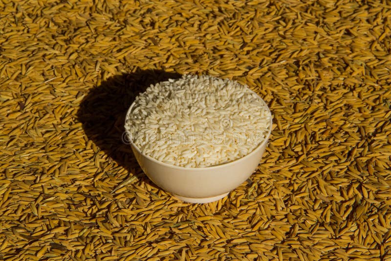 Rice grain stock image. Image of crop, dinner, healthy - 35852695