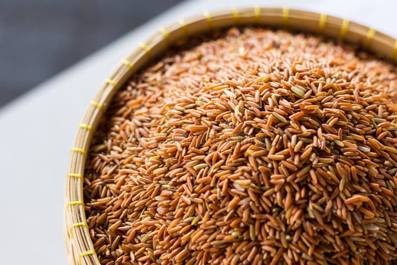 Rice grain stock photo. Image of paddy, eating, flower - 38850366