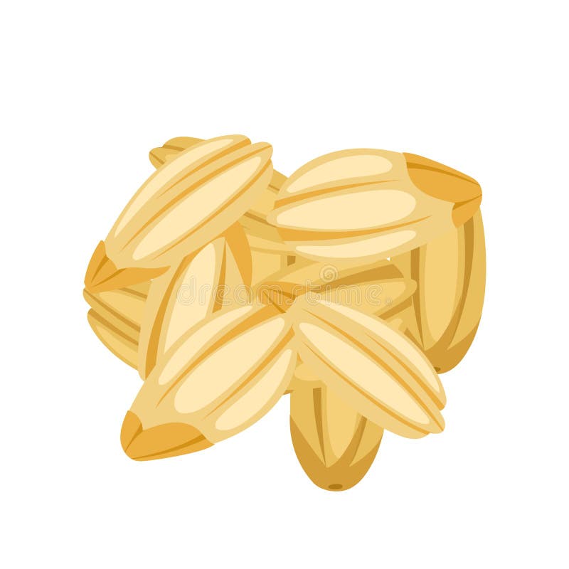 Long Rice Grain Stock Illustrations – 1,296 Long Rice Grain Stock ...