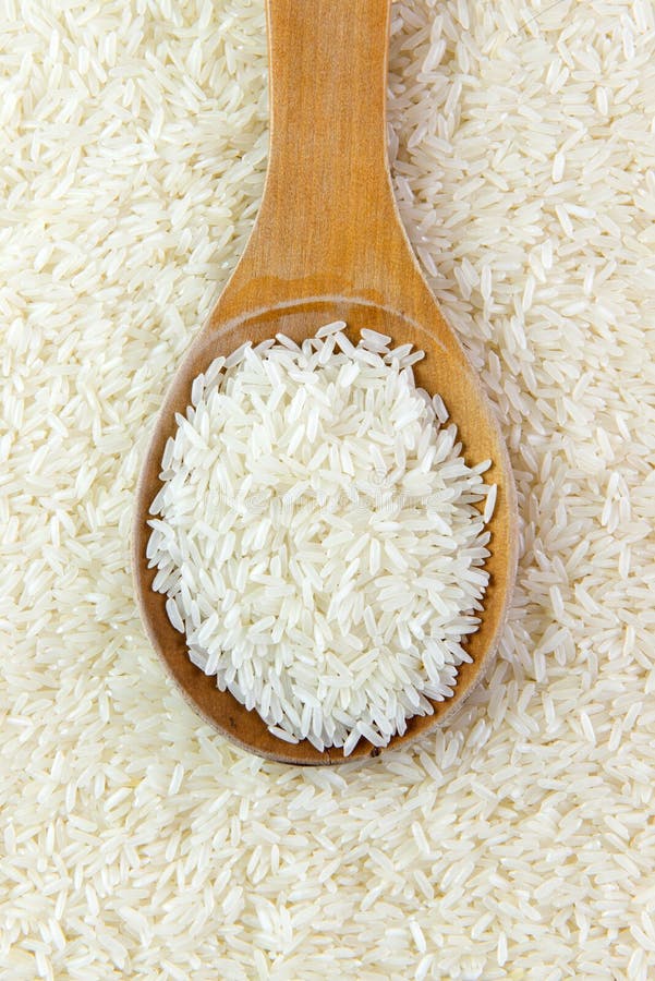 Rice grain stock photo. Image of jasmine, asia, harvesting - 34698974