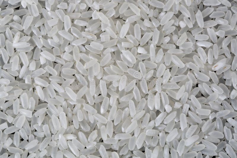 Rice grain closeup stock photo. Image of rice, macro - 91844150