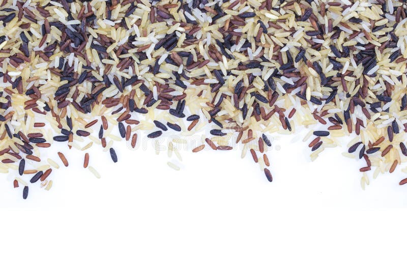 Rice grain stock photo. Image of group, bunch, brown - 73263436