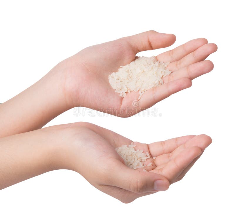 Hands with Rice Grain stock image. Image of cereal, nutrition - 30699927