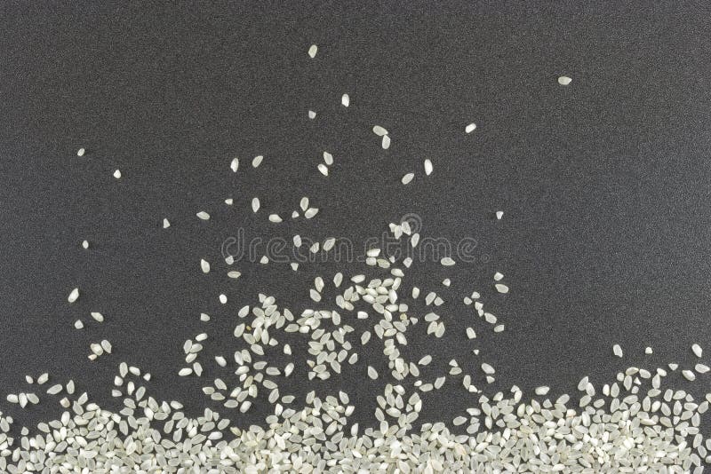 Rice Grain on Grey Background Stock Photo - Image of black, eating ...