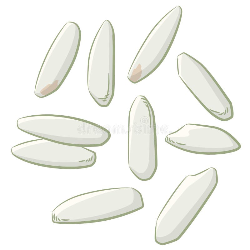 Rice Grain Organic Farm Harvest Cartoon Stock Vector - Illustration of ...