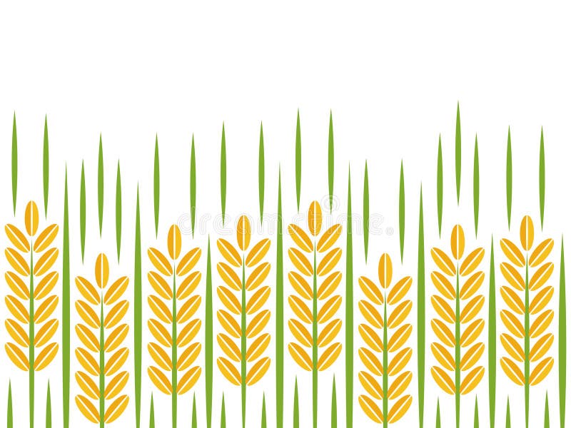 Rice Grain and Paddy Bunch Logo, Circle Frame Vector Stock Vector ...