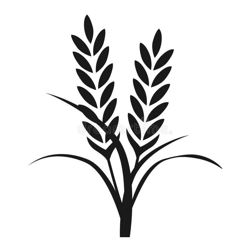 Rice and grain plant icon stock vector. Illustration of bran - 249213113