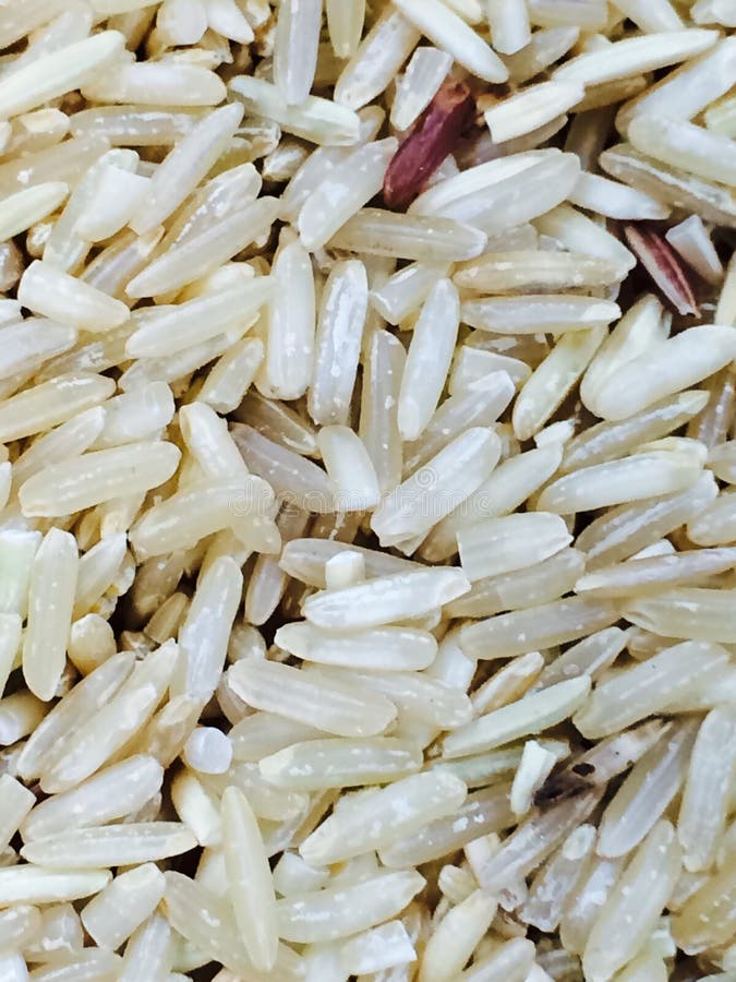 Rice grain stock photo. Image of rice, germ, agricultural - 53335592