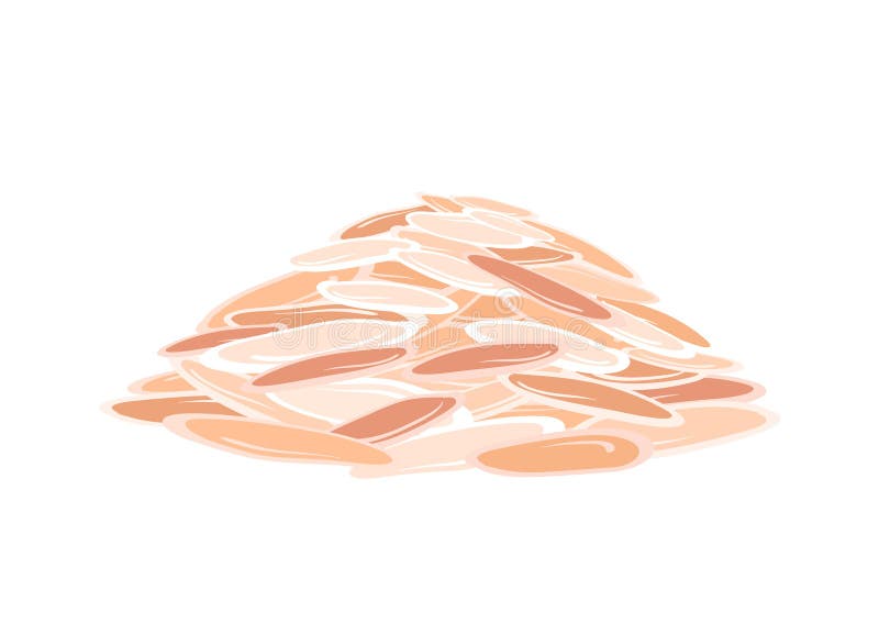 Rice Grain Vector Png