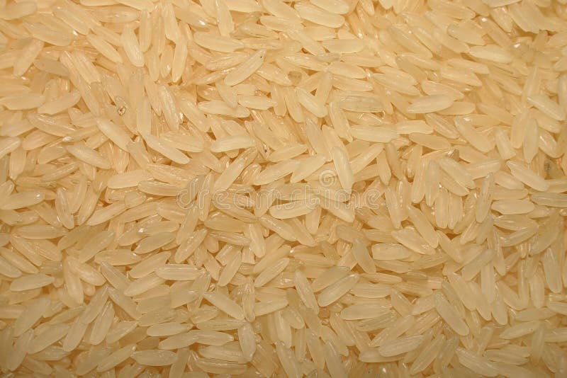 Rice grains mix color stock photo. Image of background - 49587650