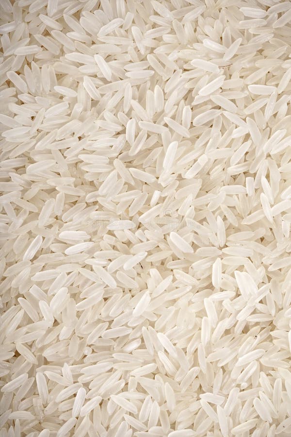 Rice grains stock photo. Image of food, still, multiple - 15862980