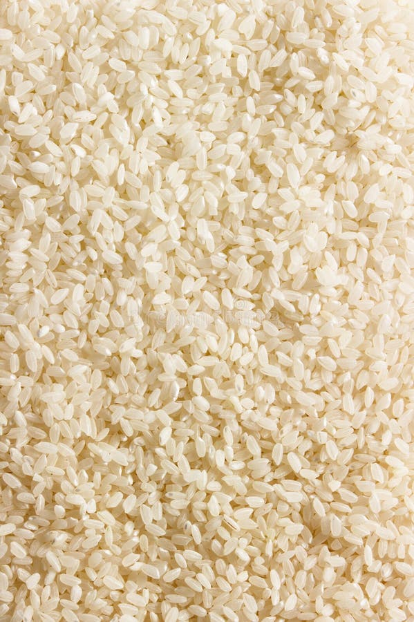 Rice grains background stock photo. Image of abundance - 23597744