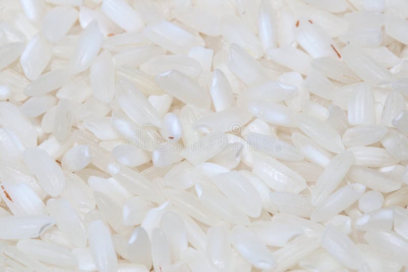 Rice grains background stock image. Image of nature - 205022765