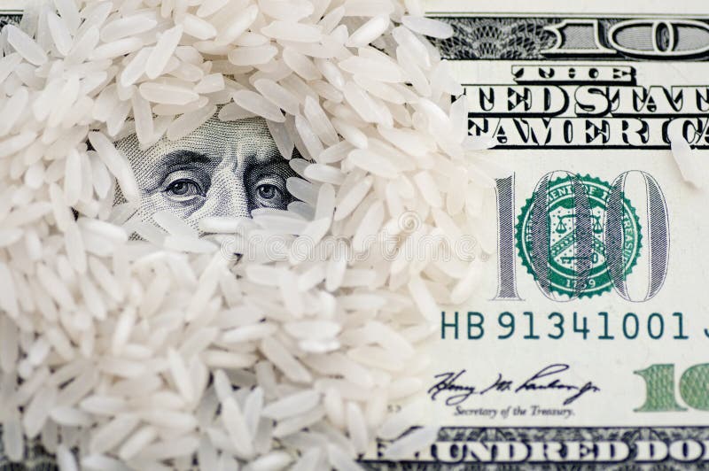 Rice grains on bank note stock photo. Image of hunger - 40782590