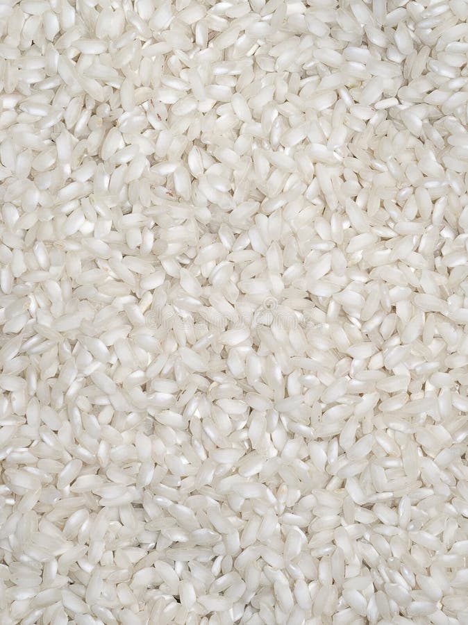 Rice grains close-up stock photo. Image of wallpaper, appetizing - 5073278