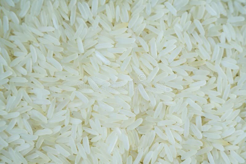 Rice grains close up a lot stock image. Image of uncooked - 186248235