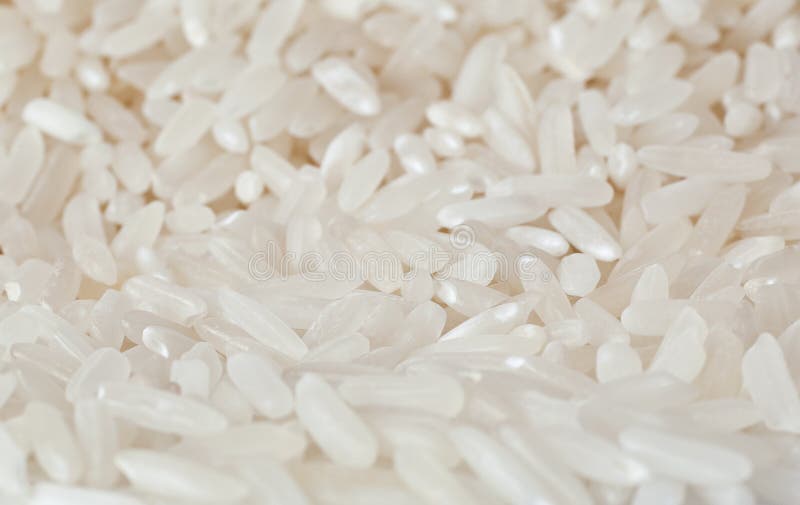 Rice grains closeup stock image. Image of full, dietary - 37801007