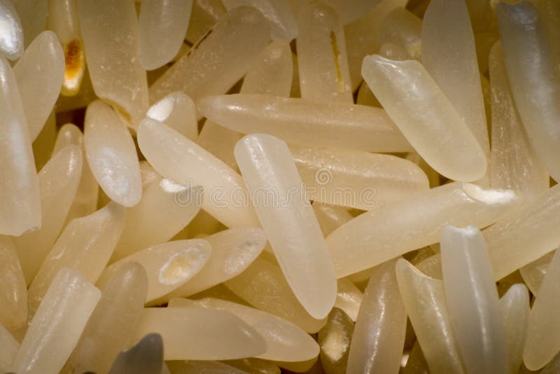 Rice grains stock photo. Image of heap, detail, ingredient - 80886918
