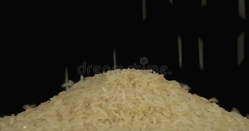 Rice Grains Fall Onto the Rotating Grain Pile. Falling Grain in the ...