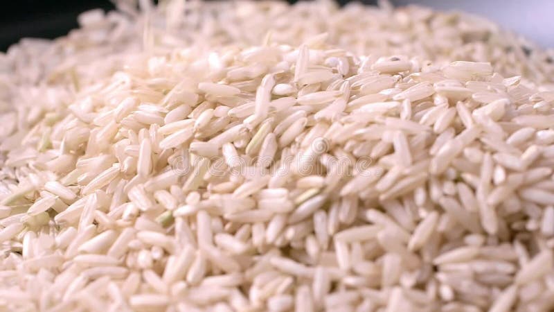 Rice Grains Falling Down in Slow Motion Macro on Black Background Stock ...