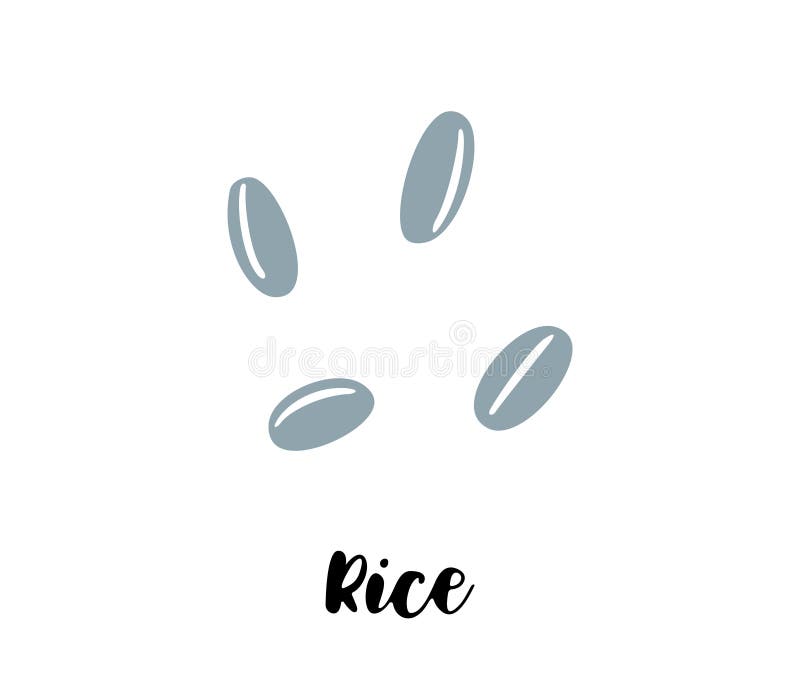 Rice Grains Flat Drawing. Vector Isolated Illustration Stock Vector ...