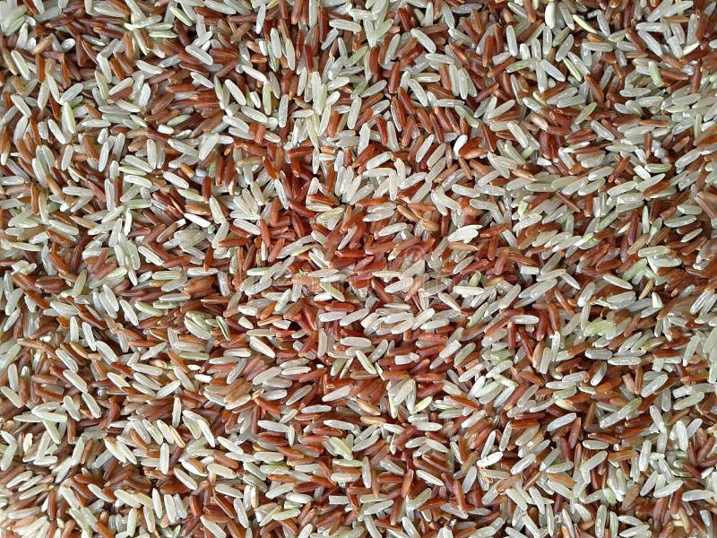 Rice grains mix color stock photo. Image of background - 49587650