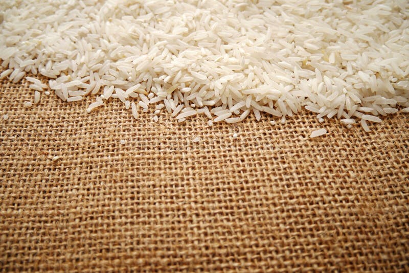 Rice Grains on an Old Burlap Sack Background. Stock Photo - Image of ...