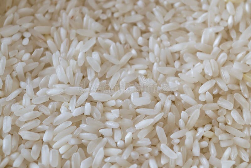 Rice grains stock image. Image of long, objects, risotto - 49951835