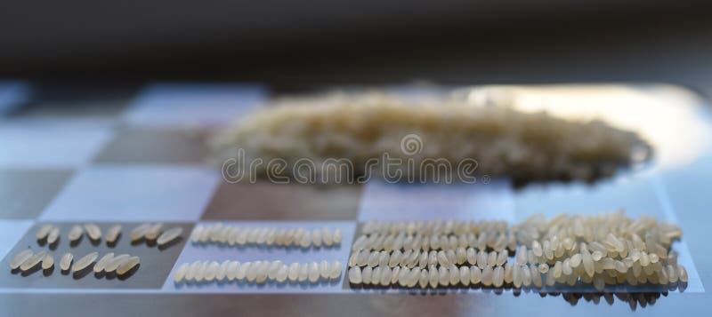 A Geometric Progression of Rice on a Chess Board Stock Image - Image of ...