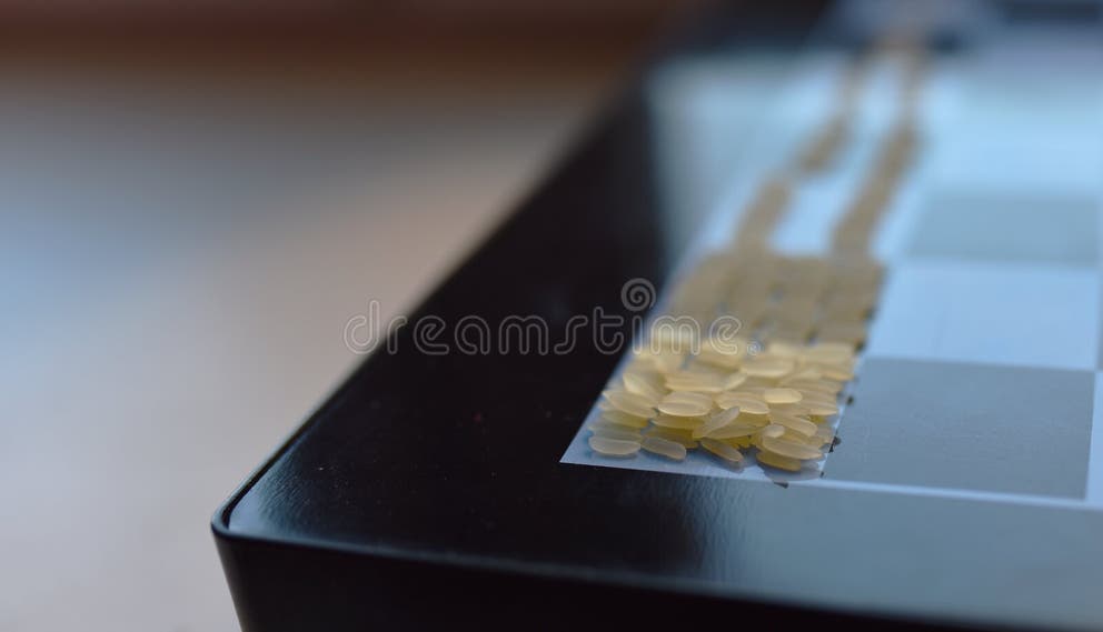 A Geometric Progression of Rice on a Chess Board Stock Image - Image of ...