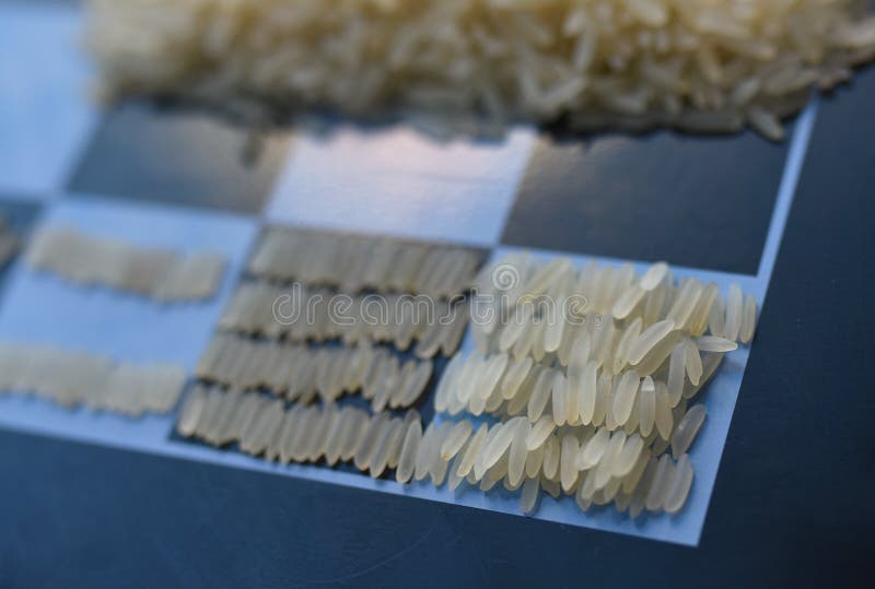 A Geometric Progression of Rice on a Chess Board Stock Photo - Image of ...