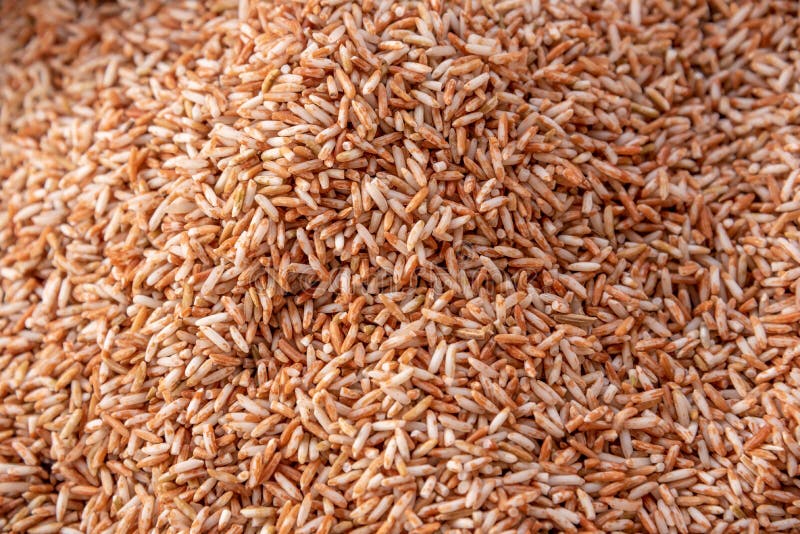 Red rice, grains closeup. stock photo. Image of wine - 106364138
