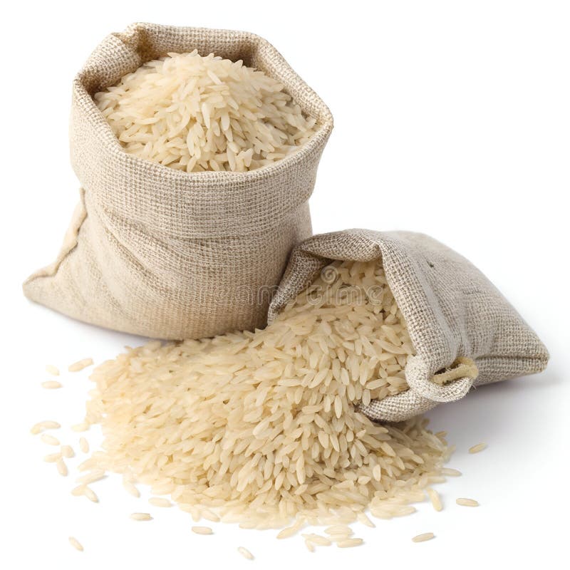 Rice Grains Sack stock illustration. Illustration of sack - 356602793