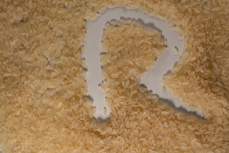 Rice Grains are Scattered in an Even Layer, on the Surface, in the Form ...