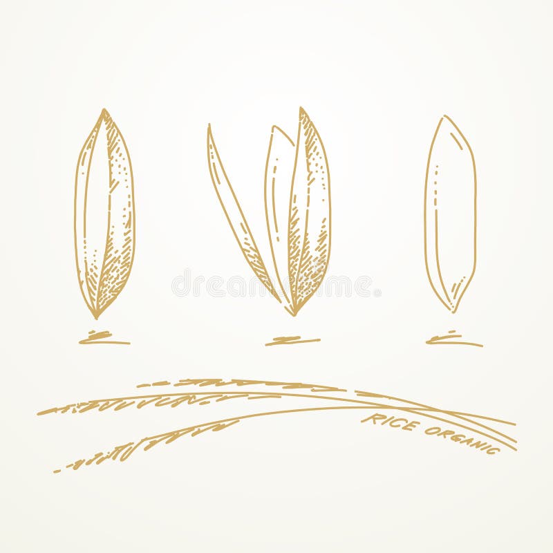 Rice Grains Icon Flat Style Stock Illustration - Illustration of ...