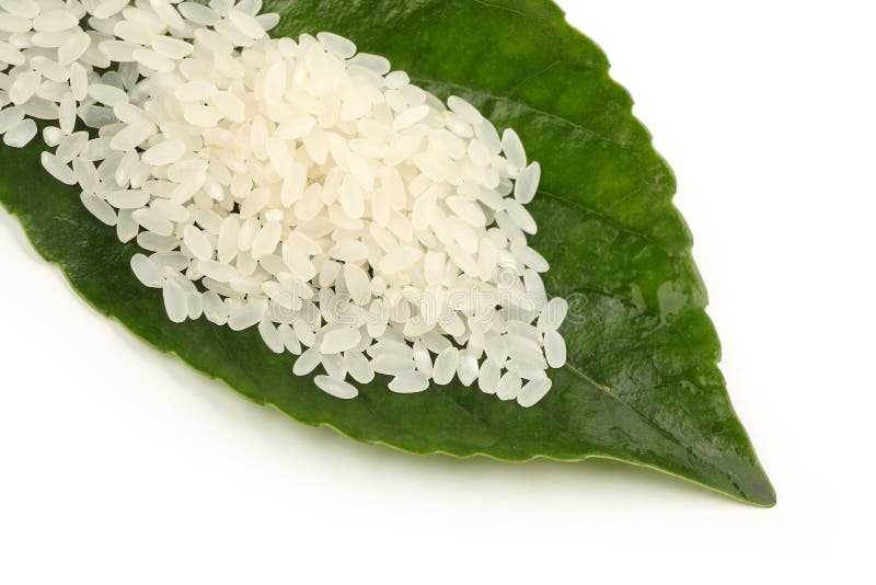 White Rice stock photo. Image of rice, produce, backdrop - 39551002