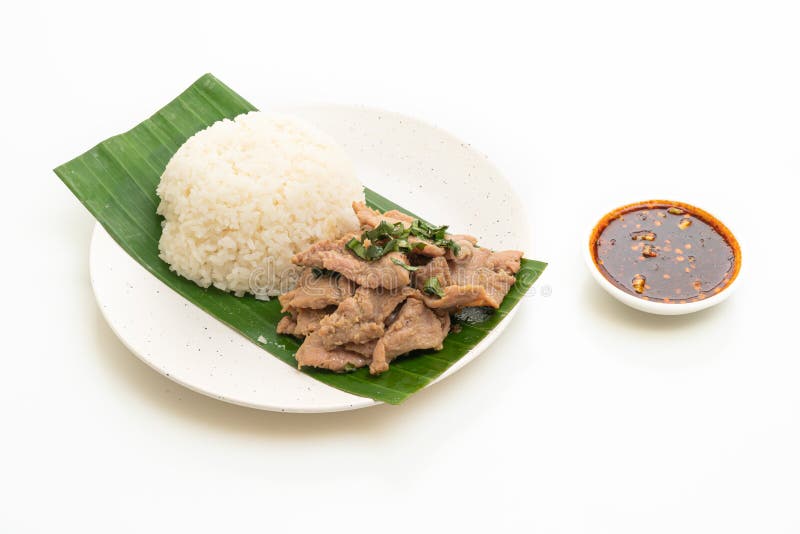 Rice with Grilled Pork Garlic Stock Photo - Image of pork, people ...