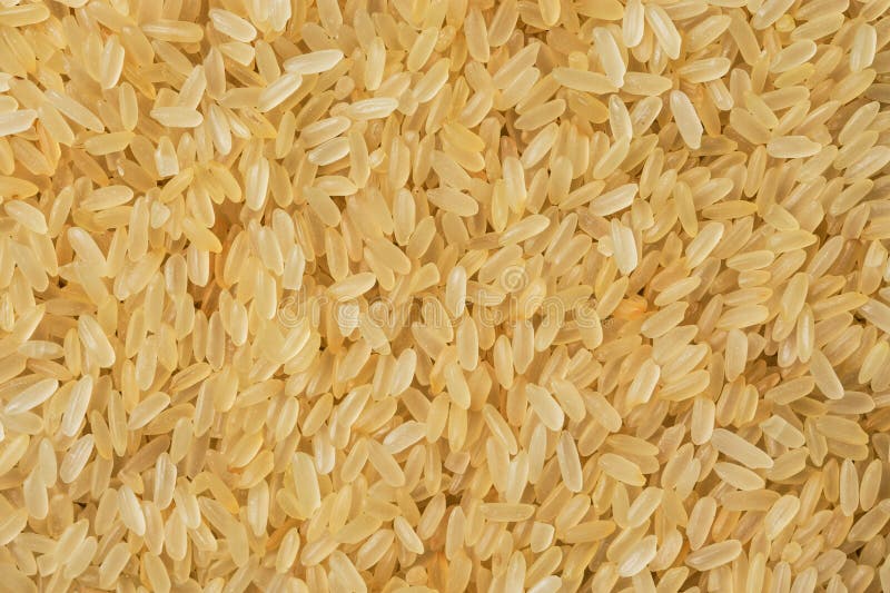 Rice groats stock image. Image of crop, asian, background - 304132933