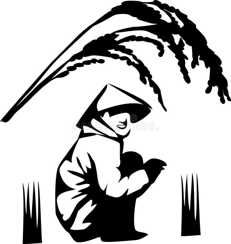 Rice Plant Stock Illustrations – 28,338 Rice Plant Stock Illustrations ...