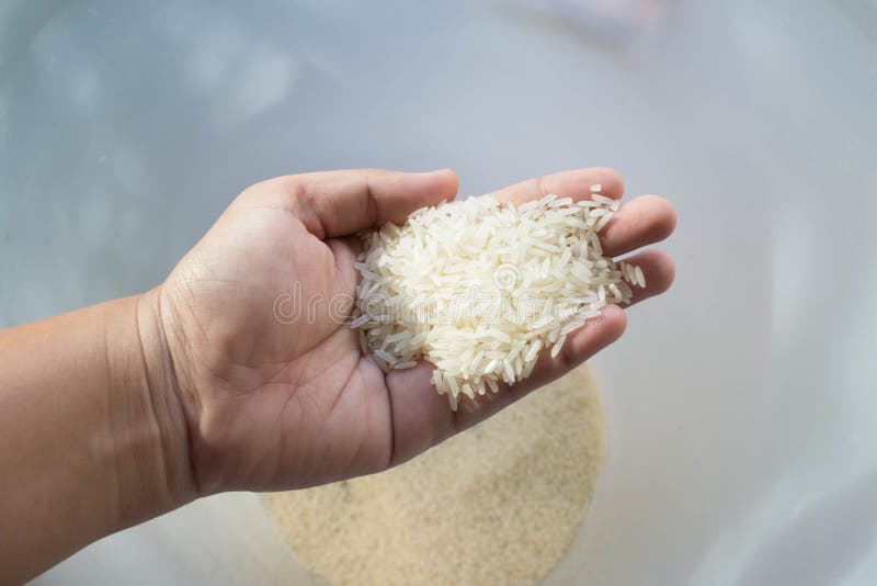Rice in hand stock image. Image of handful, grain, healthy - 55093855
