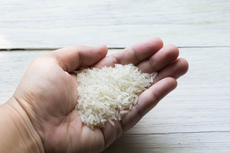 Rice in hand stock image. Image of farmer, healthy, agricultural - 55093893